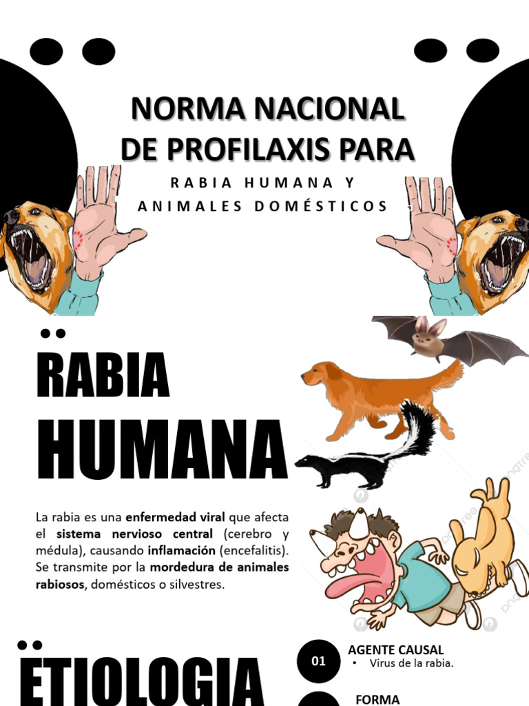 Tema 10 - Rabia | PDF | Rabia | Medicina CLINICA