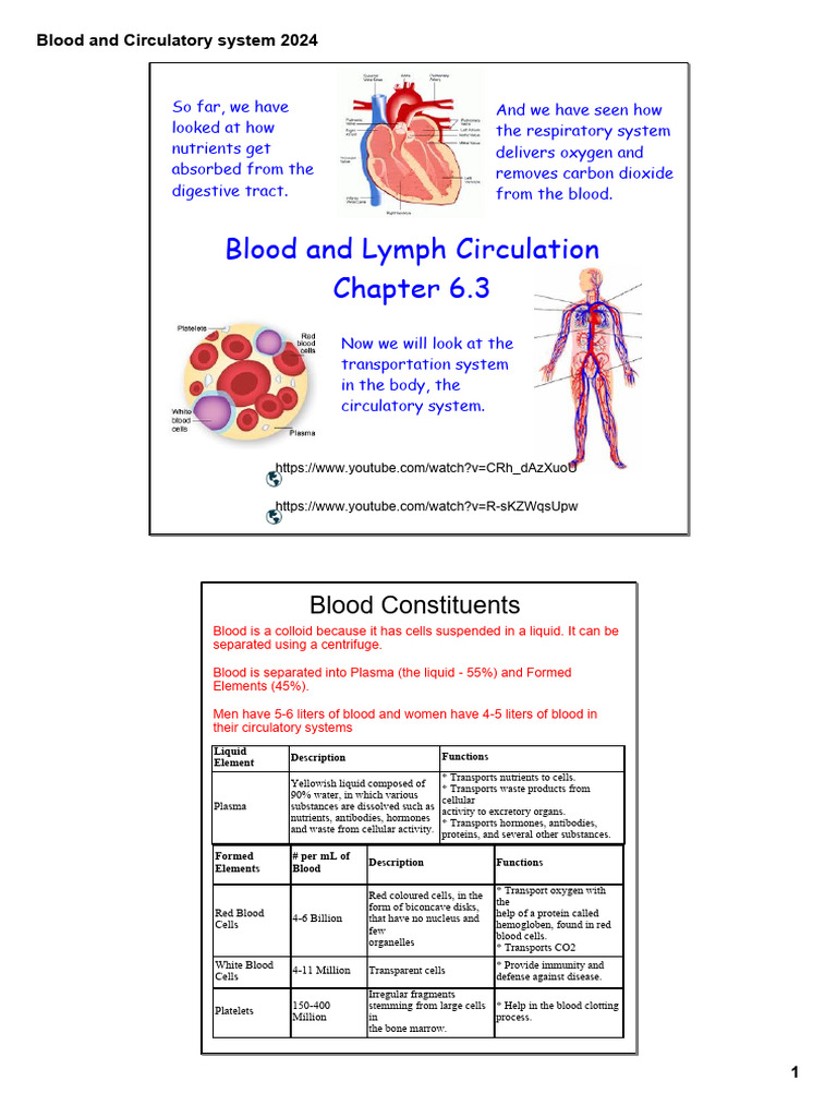 Circulatory System Notes 2024 | PDF | Lymph | Circulatory System