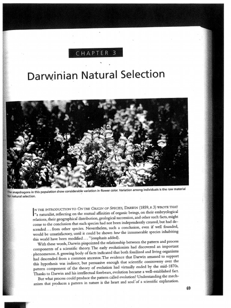 Intro To Evolution | PDF
