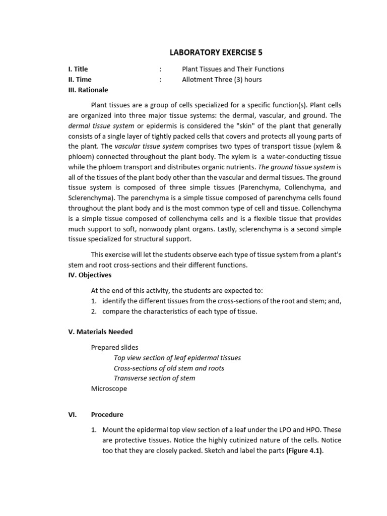 Lab 5 - Plant Tissues and Their Functions | PDF | Tissue (Biology ...