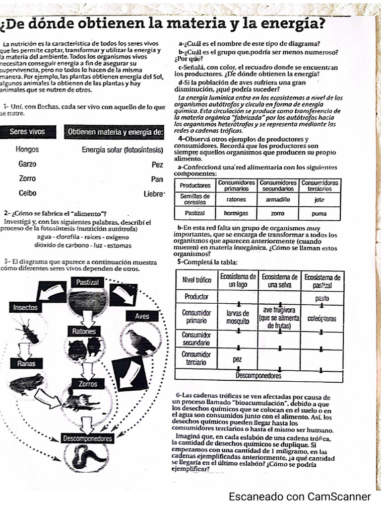 Activ. 3 Materia y Energia | PDF
