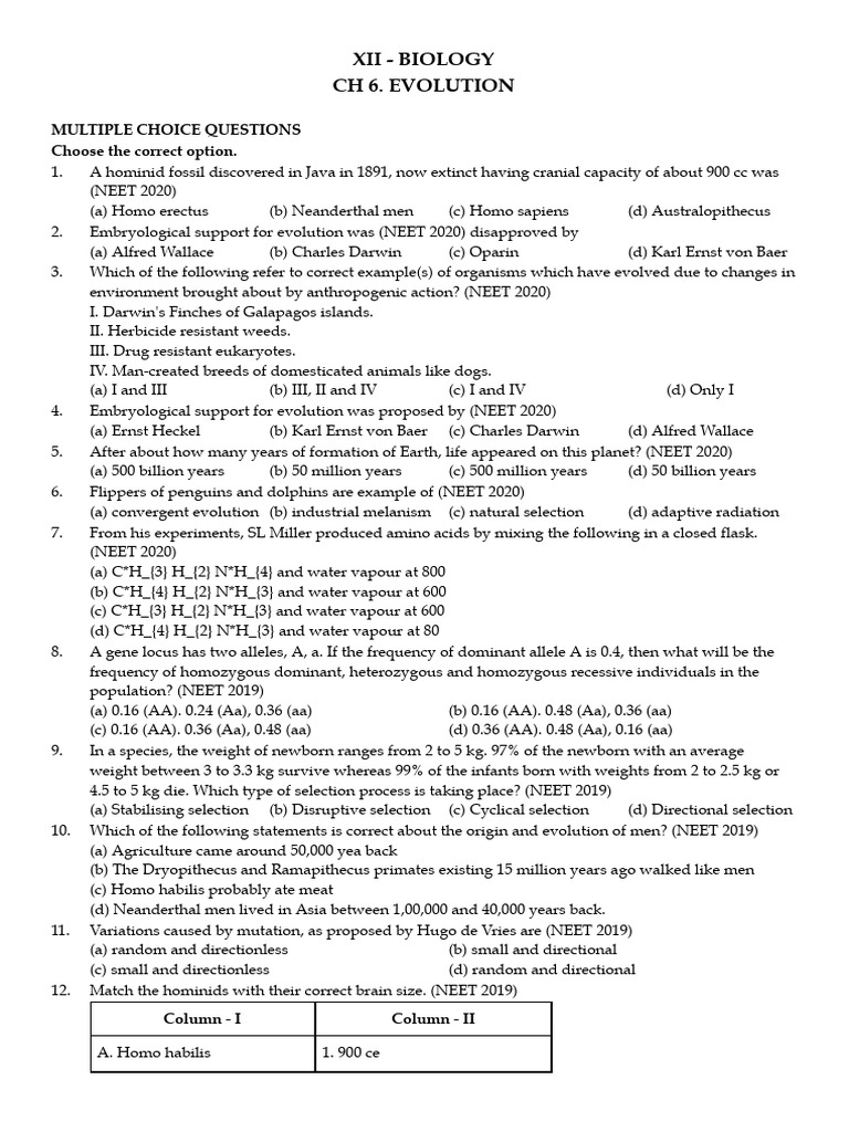 XII - BIOLOGY - Evolution Worksheet | PDF | Homo | Natural Selection