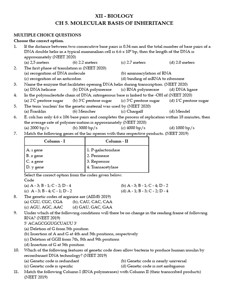 XII - BIOLOGY - Molecular Basis of Inheritance Worksheet | PDF | Dna ...
