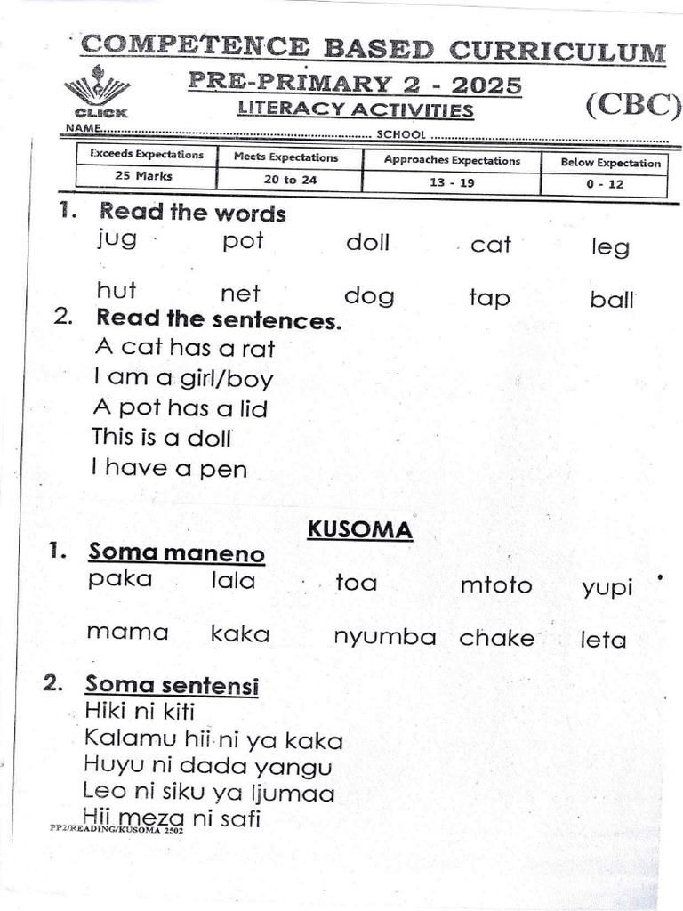 PP2 Literacy Activities | PDF