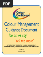 VersaWorks Color Management Guide | PDF | Artistic Techniques | Color