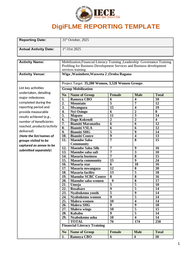 AUGUST DigiFLME ToT Reporting Template - Revised Final | PDF | Chess ...