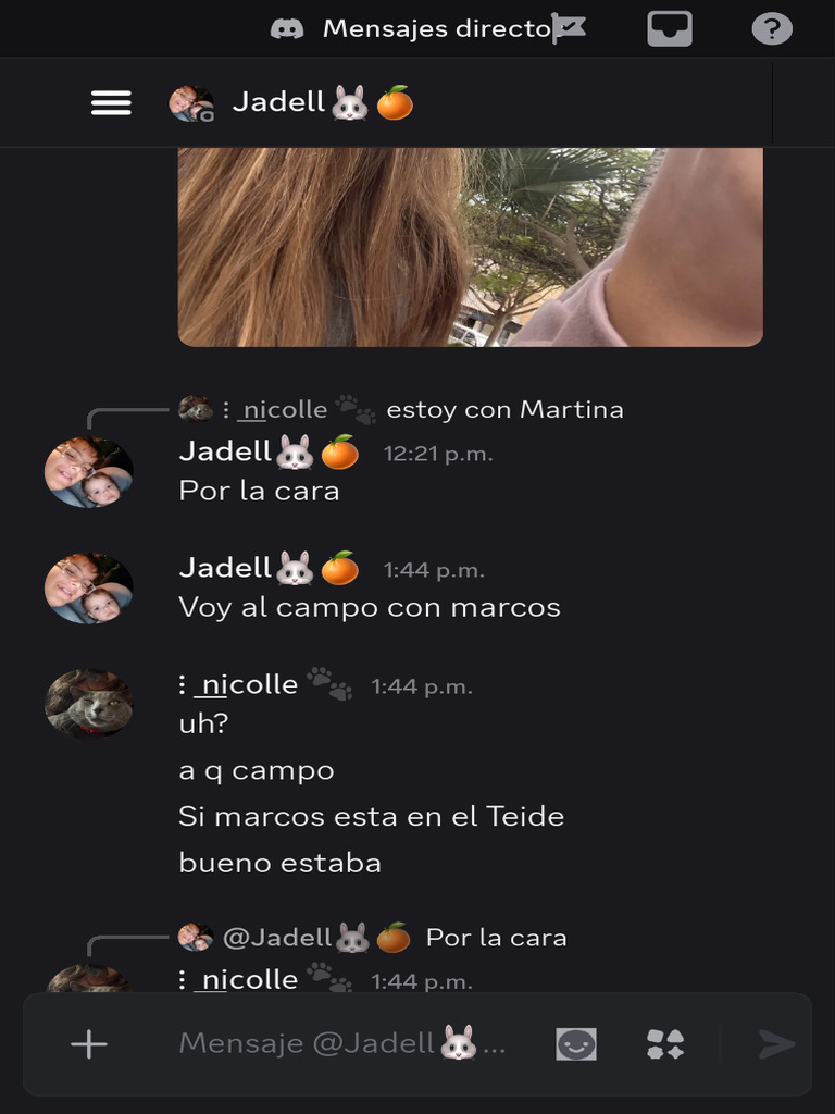 Discord | PDF