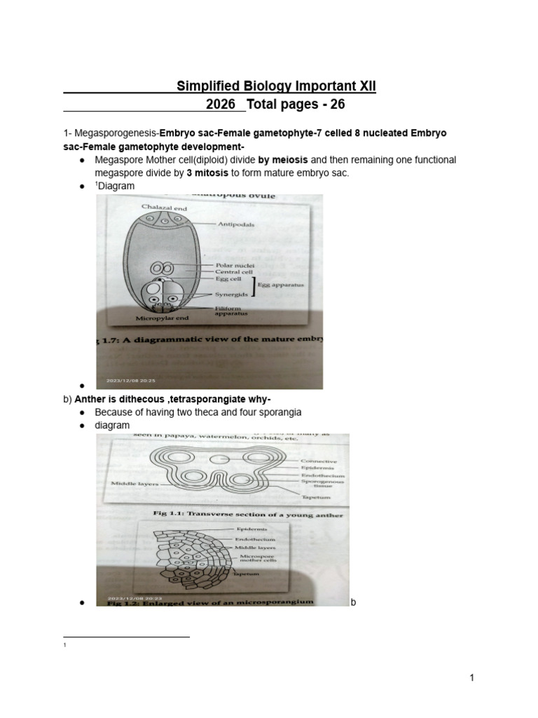 XII Important Biology -26 | PDF | Genetic Code | Zygosity