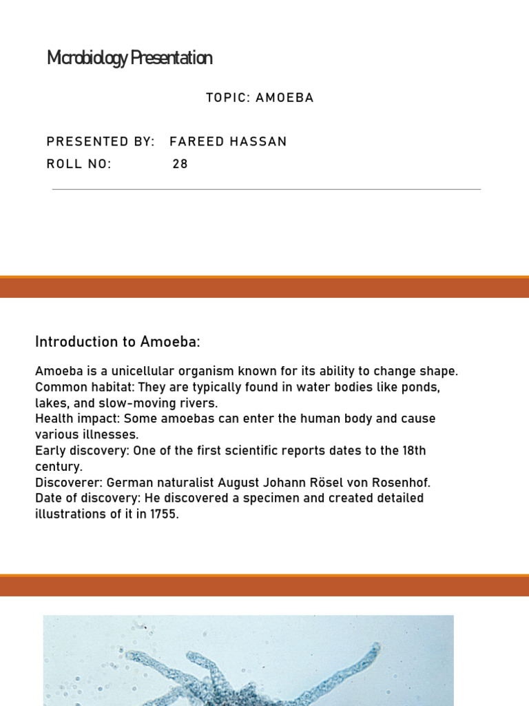 fareed presentation | PDF | Microbiology | Biology