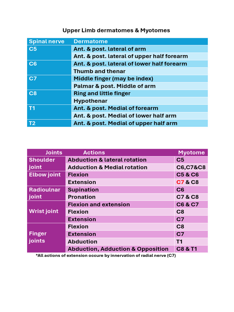 Summary of Upper & Lower Limb dermatomes and Myotomes | PDF ...
