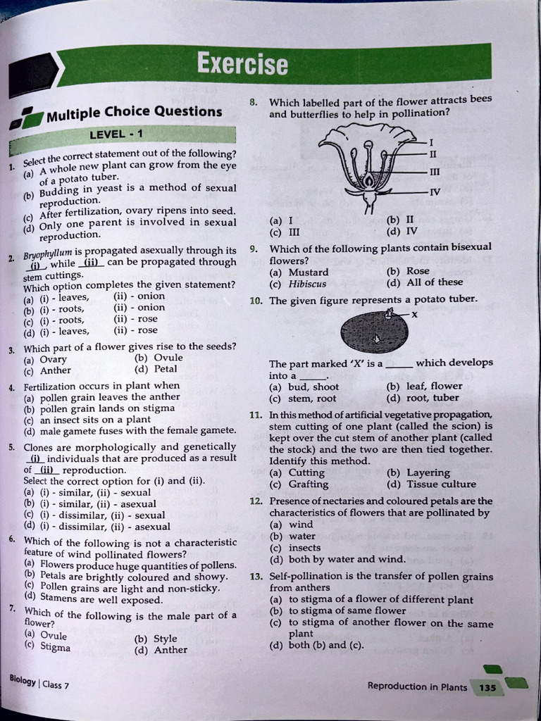 MTG Reproduction in Plants | PDF