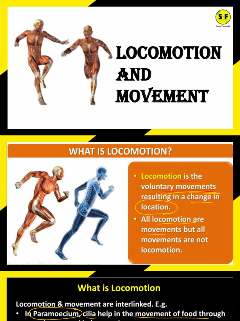 Locomotion and Movement | PDF