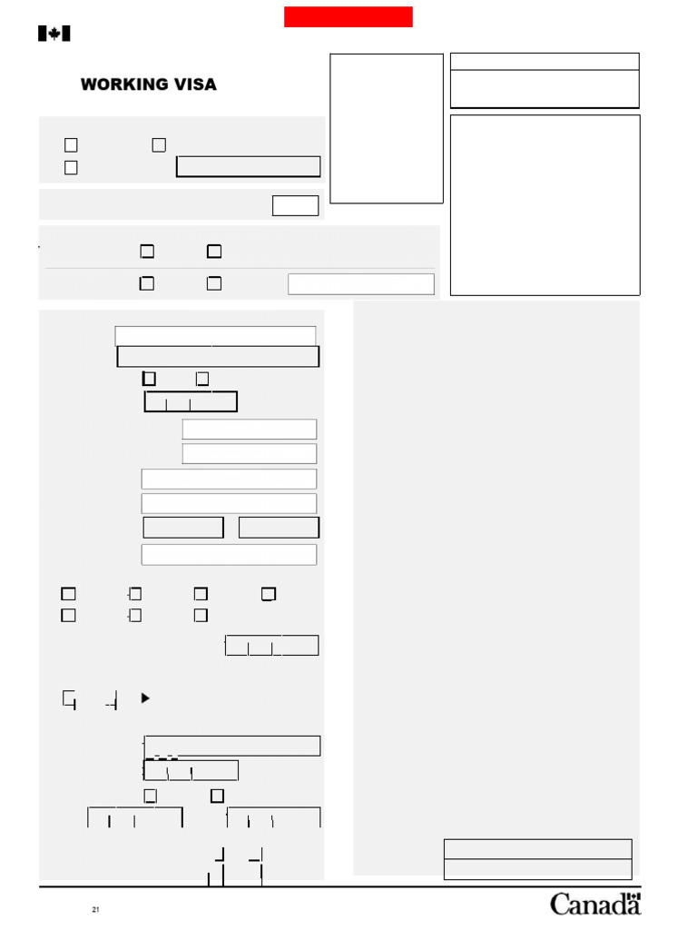 Canadian Visa Application Form e | PDF | Government And Personhood