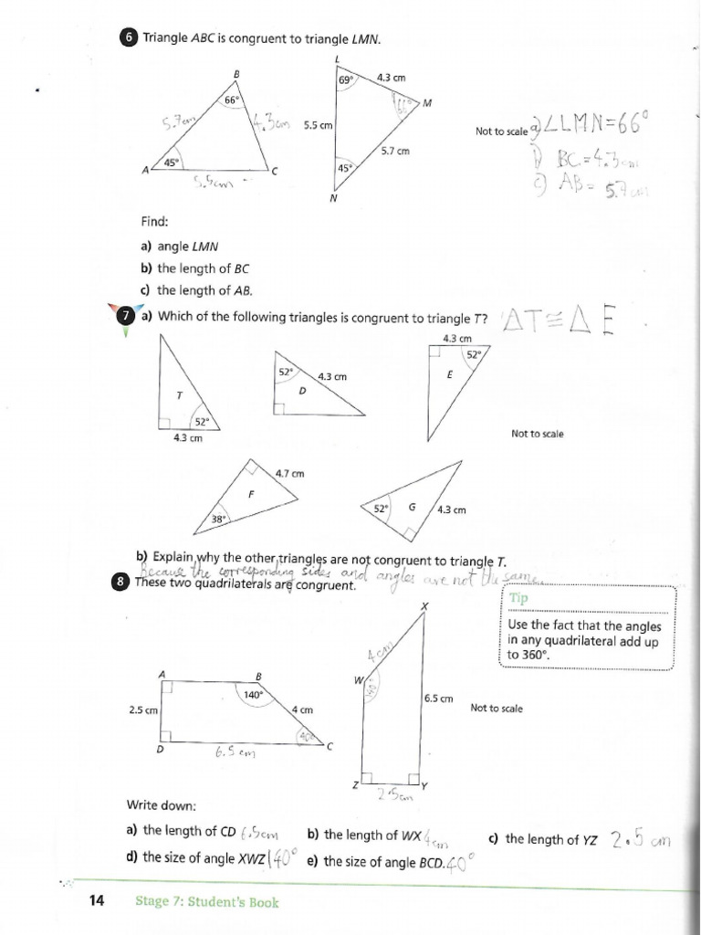 TB Chapter 2 and 3, WB Chapter 2 Uploaded | PDF