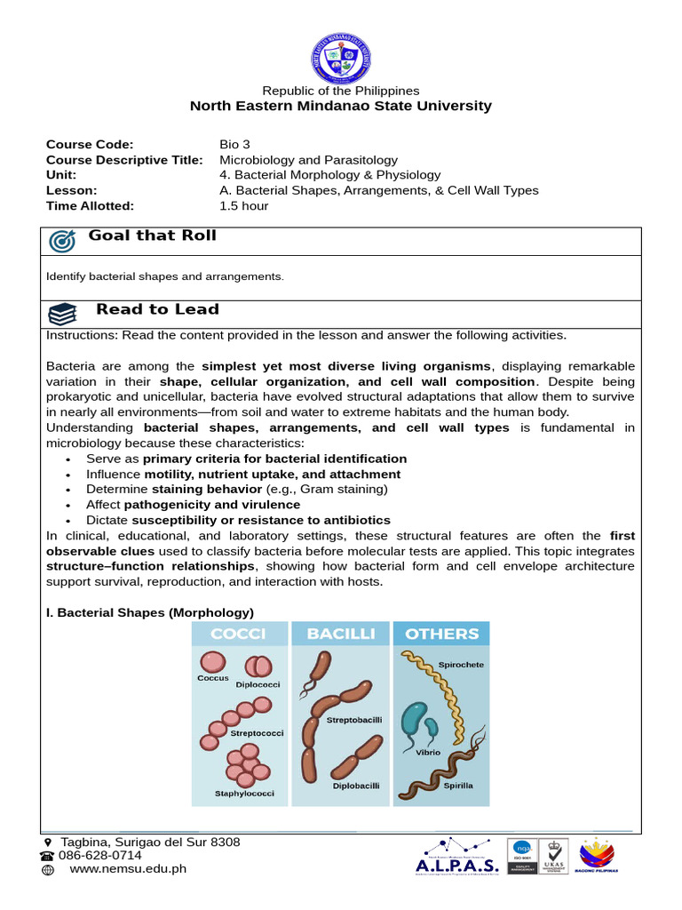 U4LA - Bacterial Shapes, Arrangements, & Cell Wall Types | PDF ...