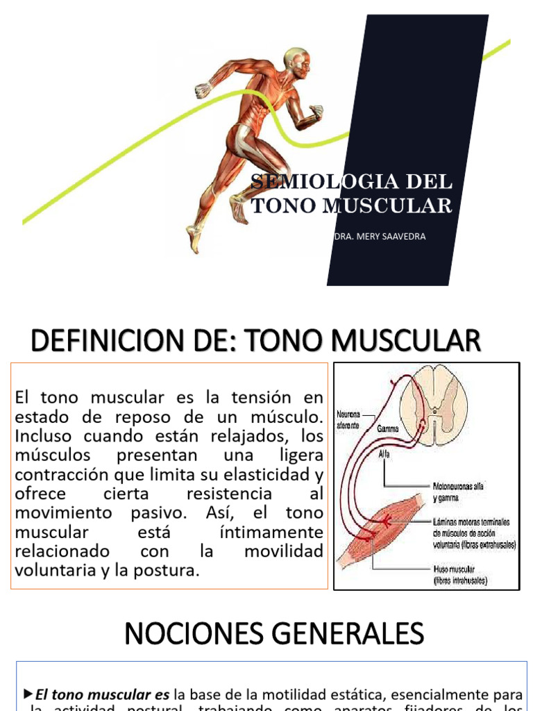 Clase 12 Semiologia Del Tono Muscular | PDF | Neurona motora ...