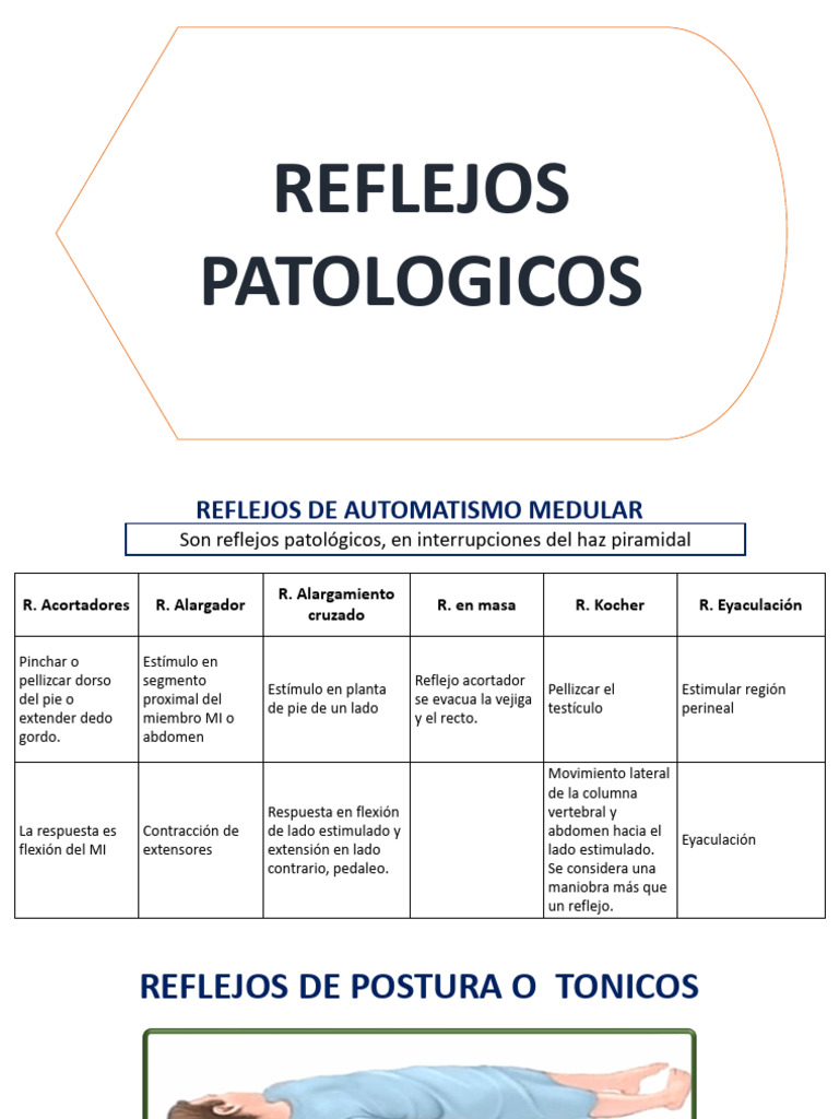 CLASE 17 REFLEJOS PATOLOGICOS | PDF | Mano | Sistema nervioso