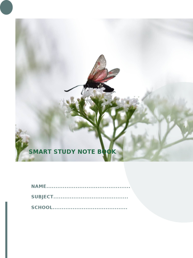 Document 8 | PDF