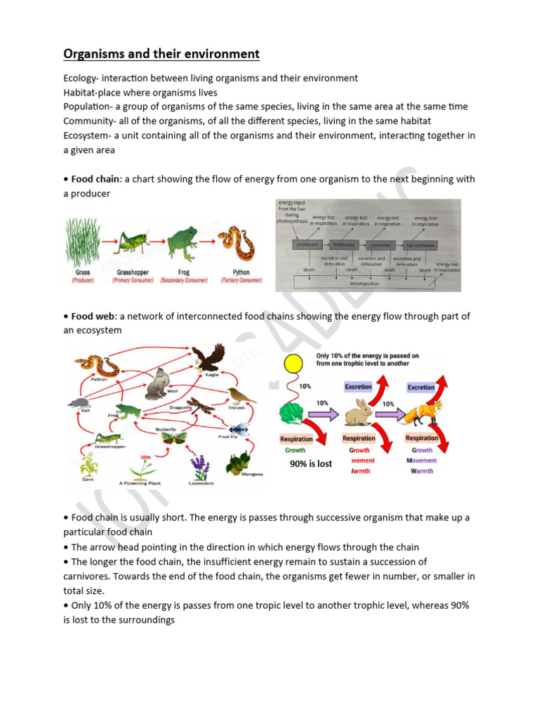 Organisms and Their Environment | PDF | Nitrate | Food Web