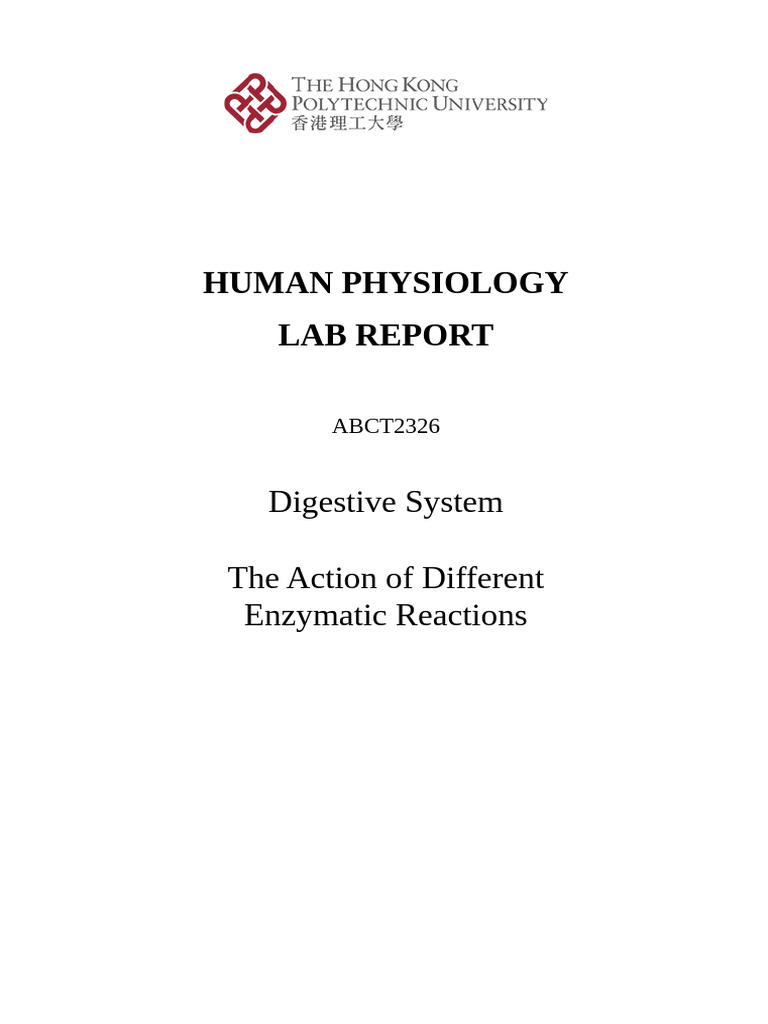 Digestive System | PDF | Digestion | Hydrochloric Acid