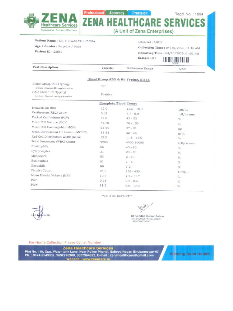 Biswanath Panda | PDF