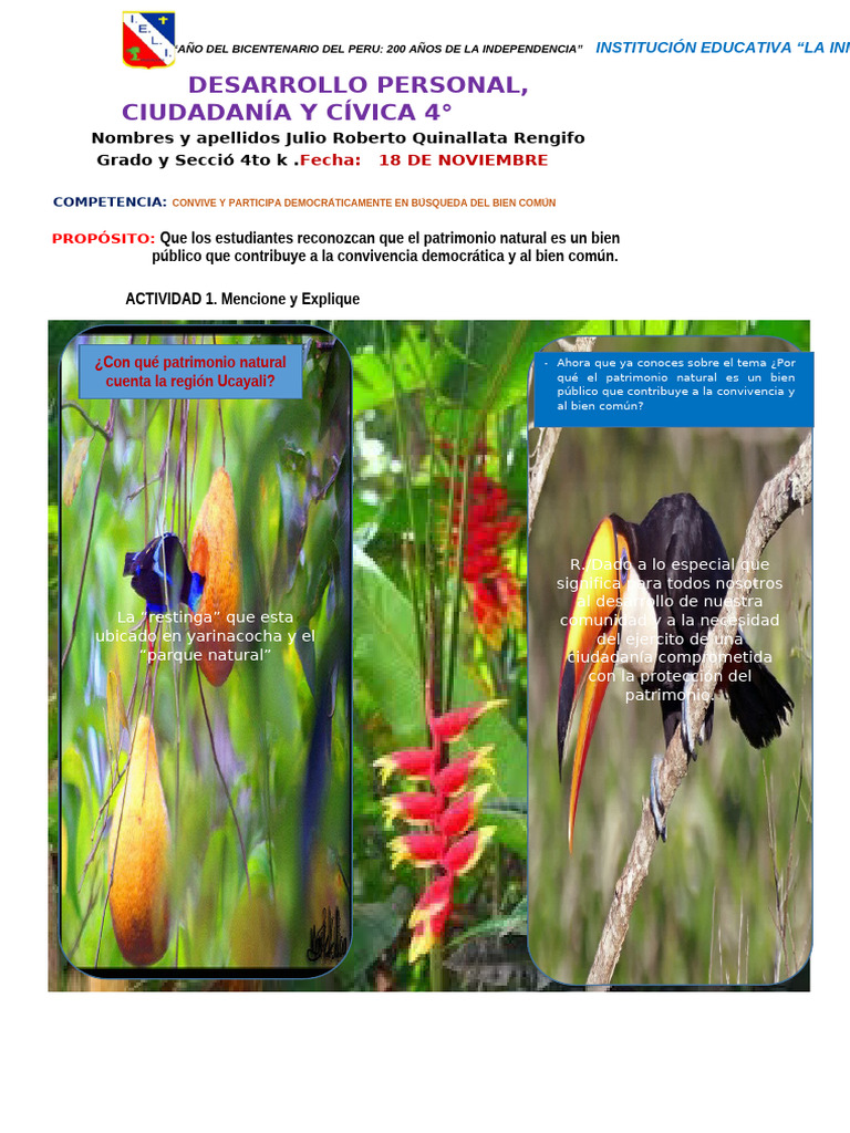 Reto o Actividad 18 de Noviembre | PDF