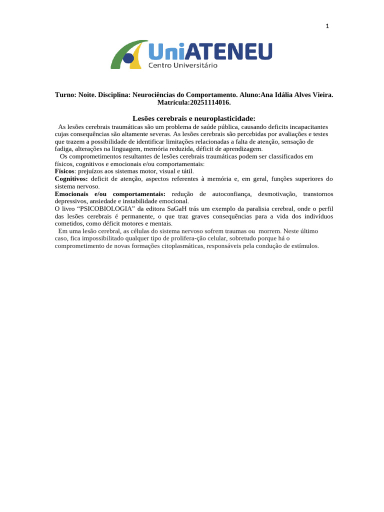 Modelo de Documento Facul | PDF