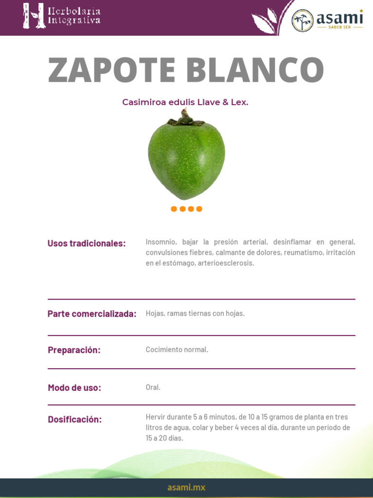 Zapote Blanco | PDF