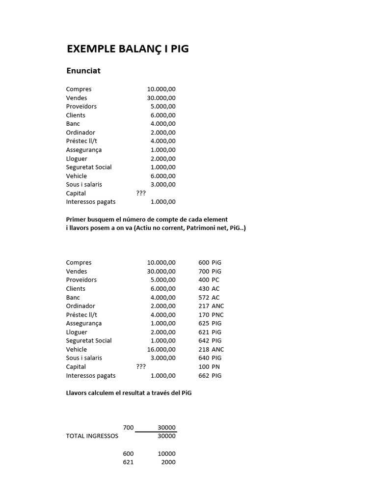 Exemple Exercici Balanç I Pig | PDF