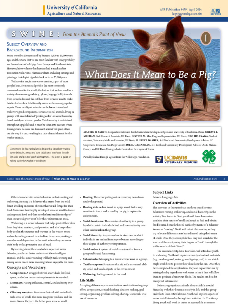 SWINE: From The Animal's Point of View 1 | PDF | Pig | Wild Boar