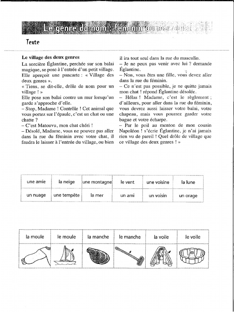 Grammaire - G12 Le Genre Du Nom Masculin Féminin - Prep + Leçon ...