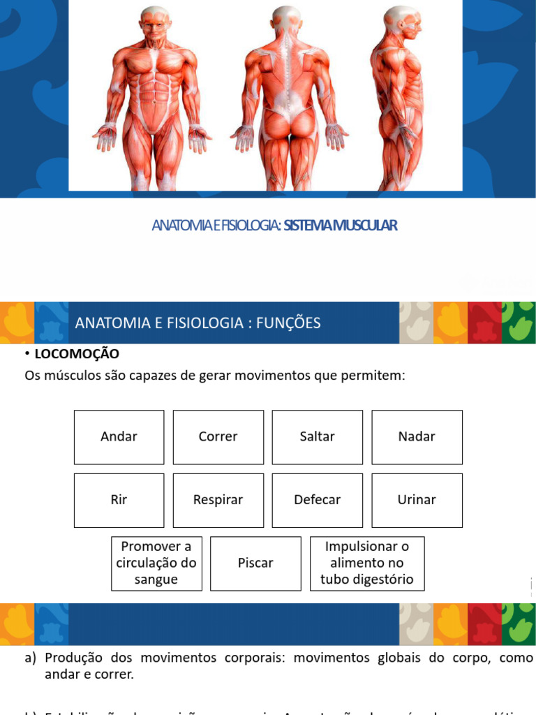 Aula 2 - ANATOMIA E FISIOLOGIA Sistema Muscular - PDF | PDF | Músculo | Analgésico