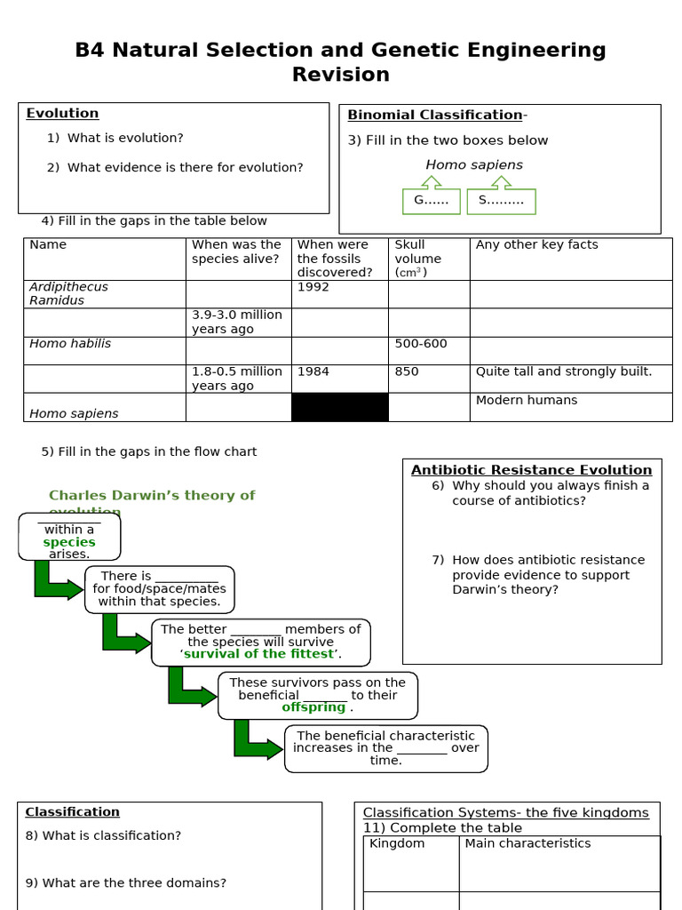 B4 Natural Selection and GMO Revision | PDF | Homo | Natural Selection