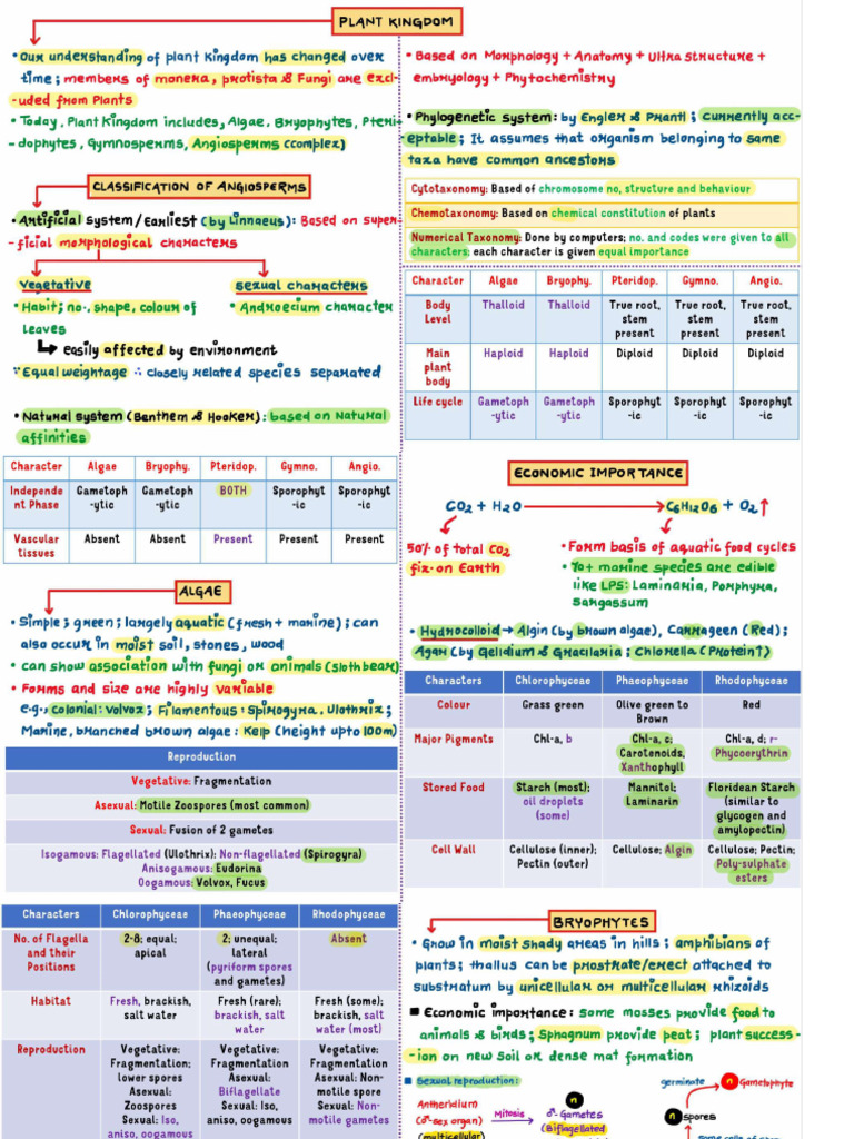 Plant Kingdom Class Note | PDF