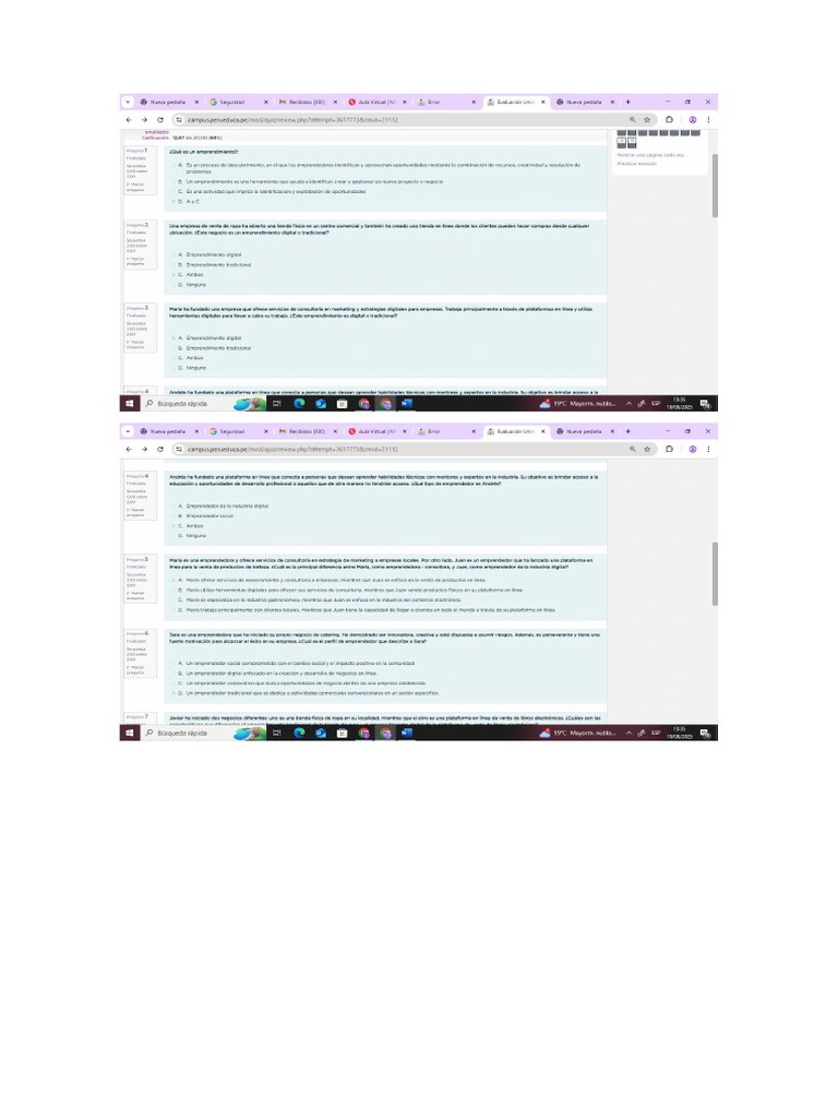 Lo pintado es el funcionamiento del negocio | PDF