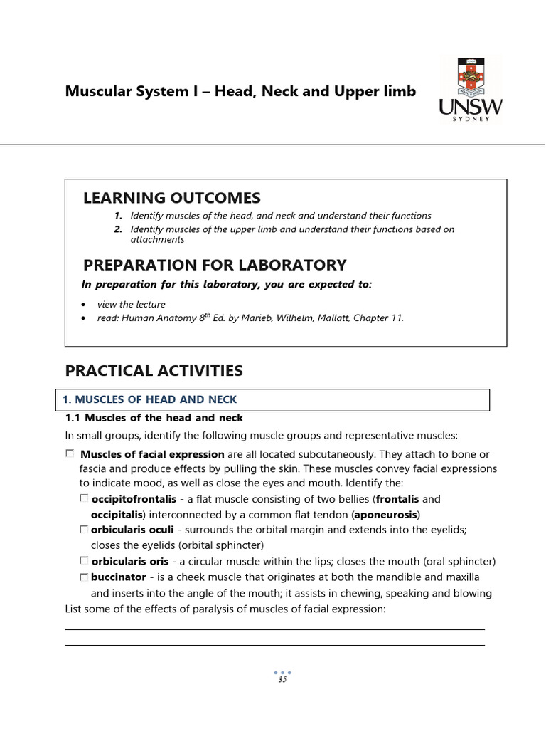 Muscular System Lab Manual 2022 | PDF | Human Leg | Abdomen