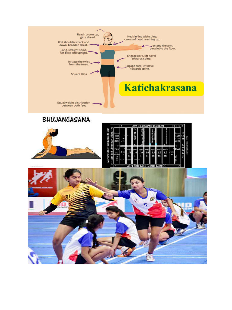 PE Diagrams | PDF