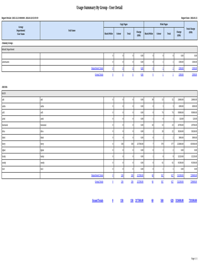 UsageSummaryByGroup UserDetailReport | PDF