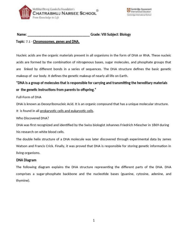 7.1 Chromosome Genes and DNA Notes. | PDF | Dna | Nucleotides