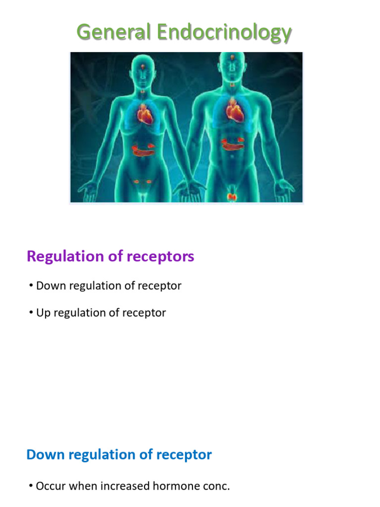 General Endocrinology 2024 | PDF | Adrenocorticotropic Hormone | Hormone