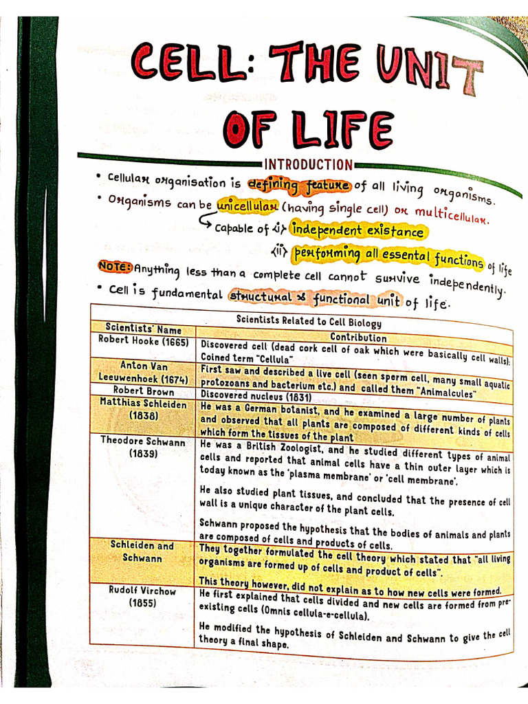 Cell | PDF