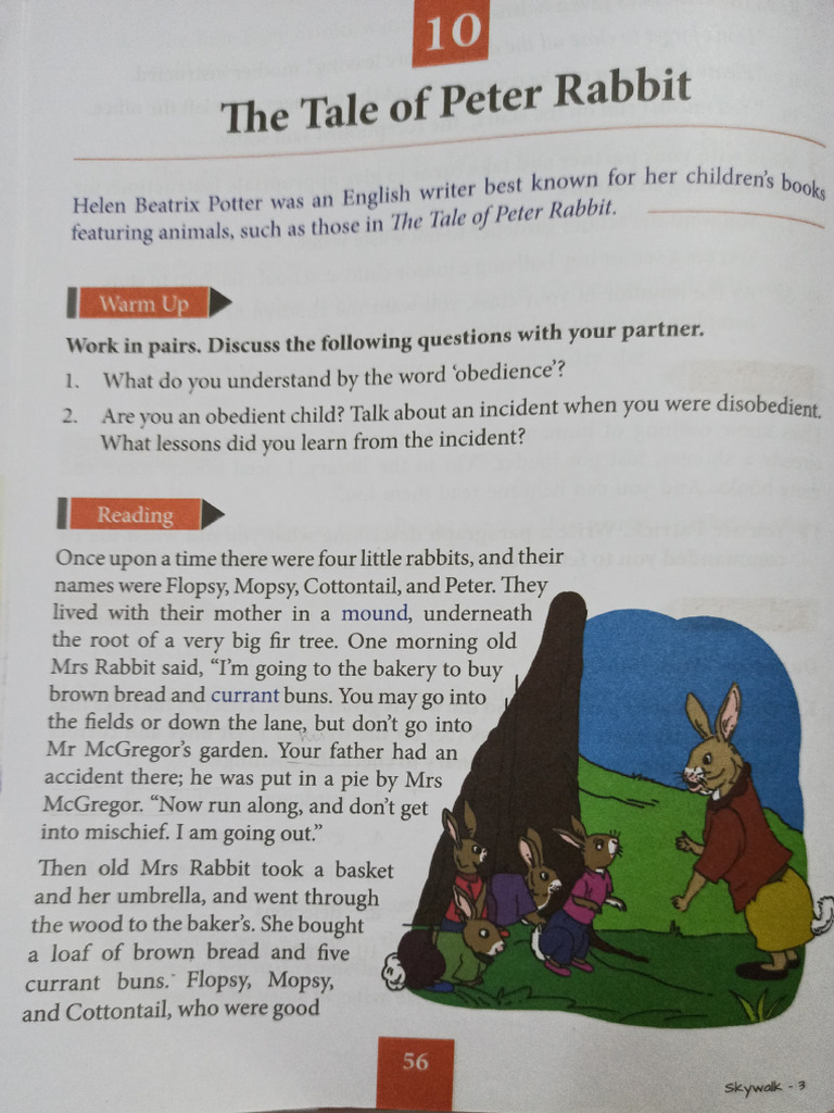 Class 3 L. 10 (The Tale of Peter Rabbit) | PDF | Peter Rabbit ...