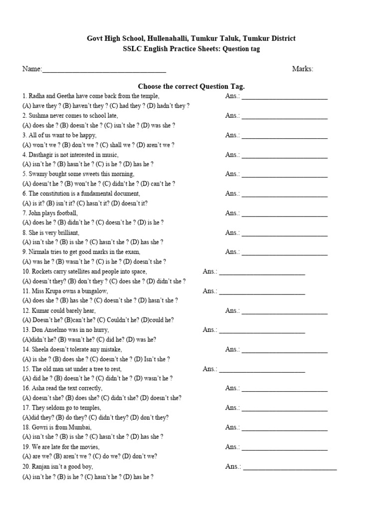 Practice Sheets Grammar Updated | PDF