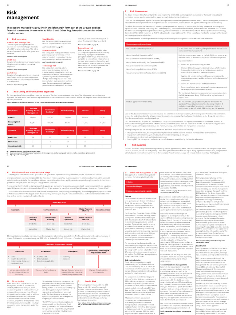 Dbs Annual Report 2024 Risk Management | PDF | Stress Test (Financial ...