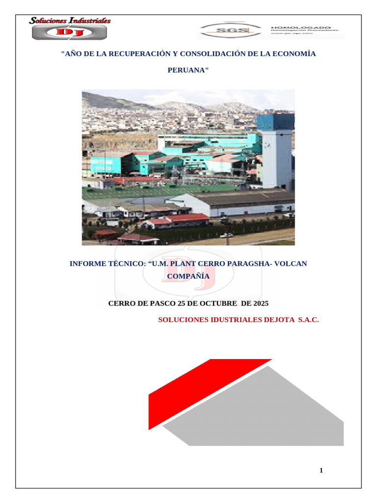 Informe Final- Paragsha | PDF