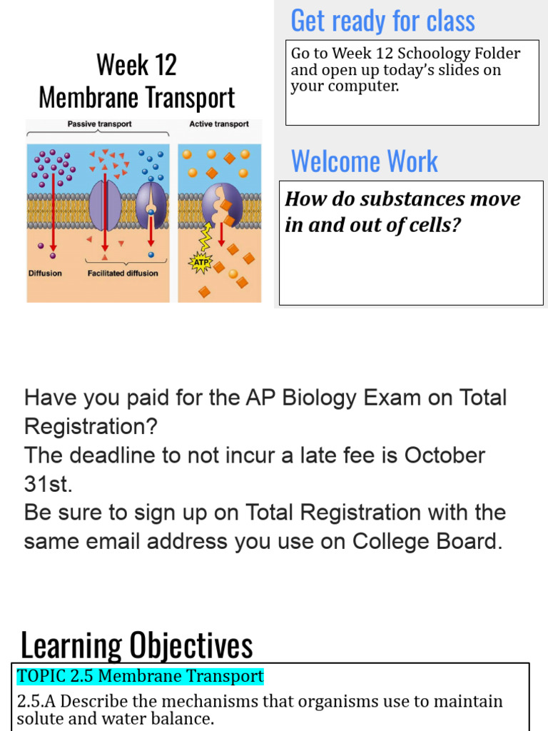 AP Bio Week 12 - Membrane Transport 2025 | PDF | Cell Membrane | Biology