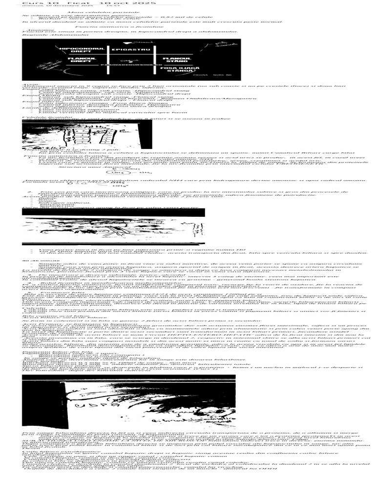 Curs10 Ficat Text Invert Imagini Color | PDF
