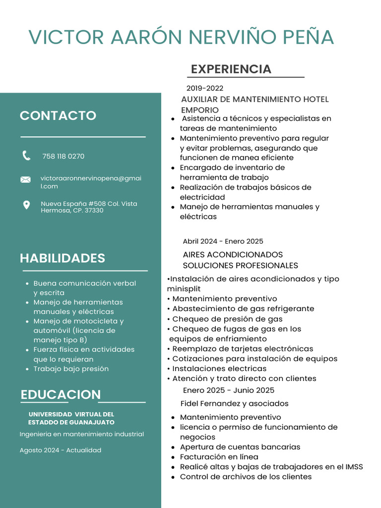 CV Victor Aaron Nerviño | PDF