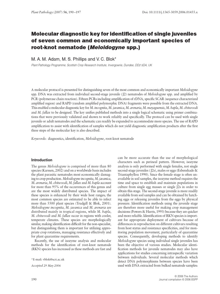 Plant Pathology - 2006 - Adam - Molecular Diagnostic Key For ...