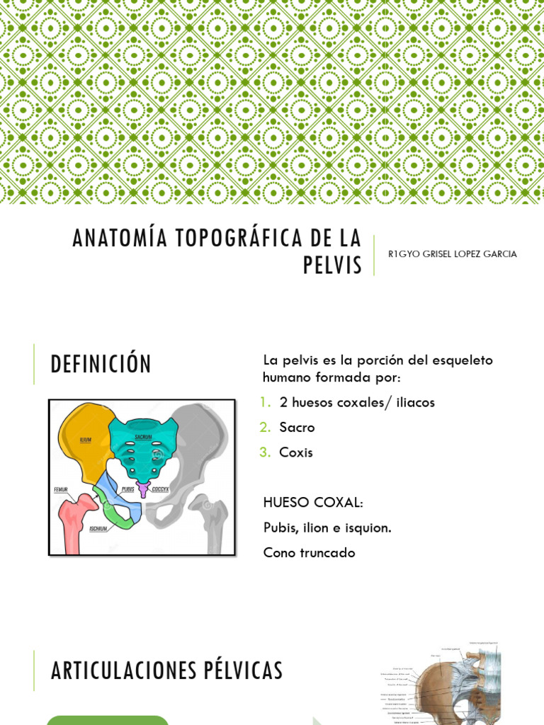 Pelvis | PDF | Pelvis | Sistema esquelético